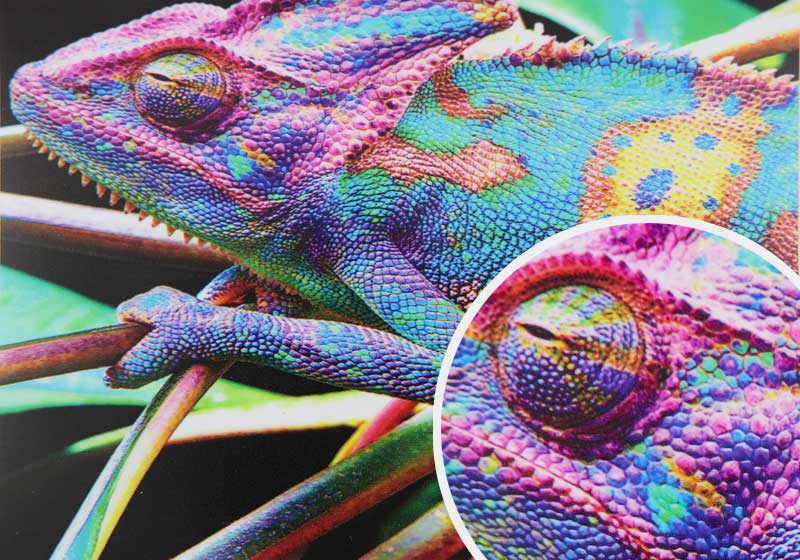 Adhesive Backed Vinyl Printing | Inkjet Print Media