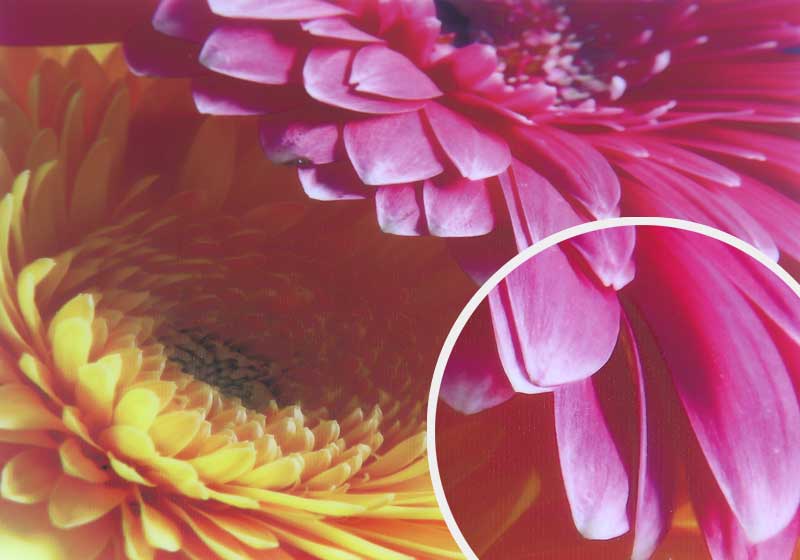 Adhesive Backed Vinyl Printing | Inkjet Print Media