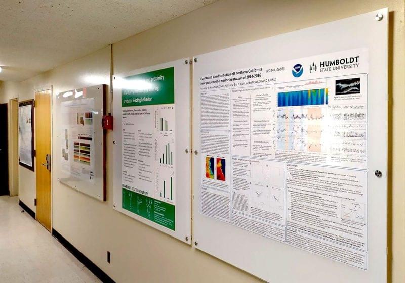 Hanging Office Partition Walls using Cable and Rod Systems